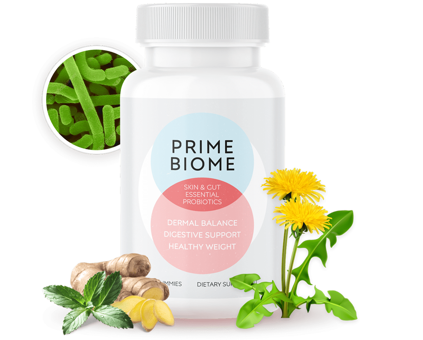 Prime Biome: Gut Balance and Radiant Skin